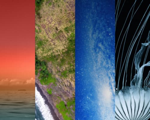 Seventh-day Adventist Global Identity Guideline System